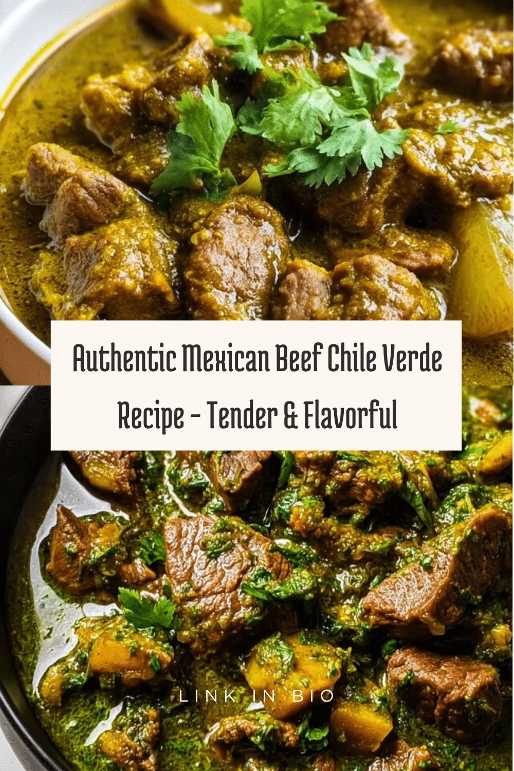 Mexican Beef Chile Verde Recipe | Flavorful & Authentic Stew